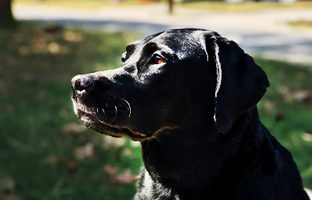 RUCKUS introduceert 2 nieuwe Wi-Fi 7 access points: T670 & R670 - Alcadis